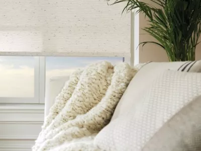 Translucent Roller Blinds - Oslo Blinds